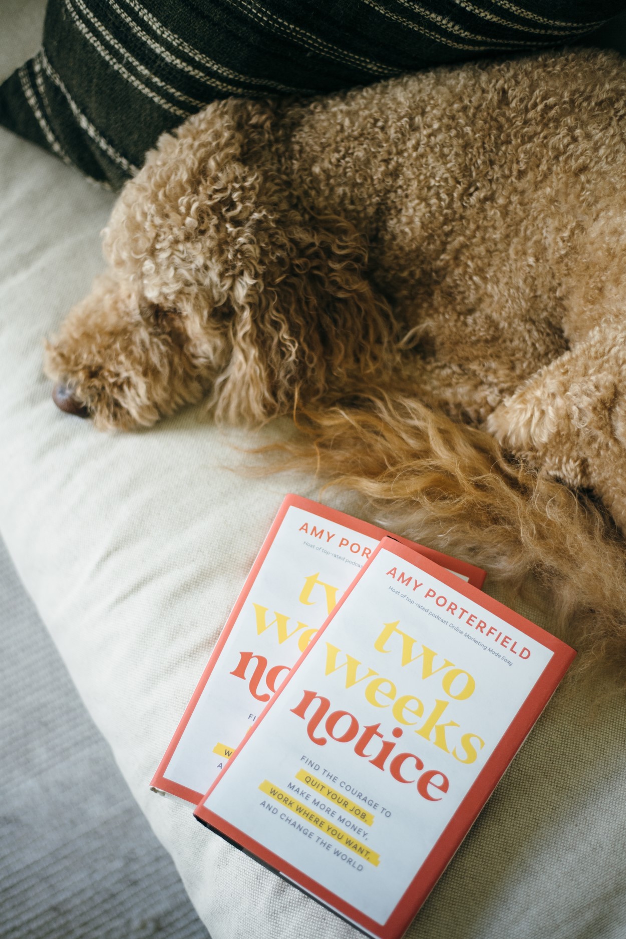 Review of Amy Porterfield’s Digital Course Academy (2024) – Fempreneur